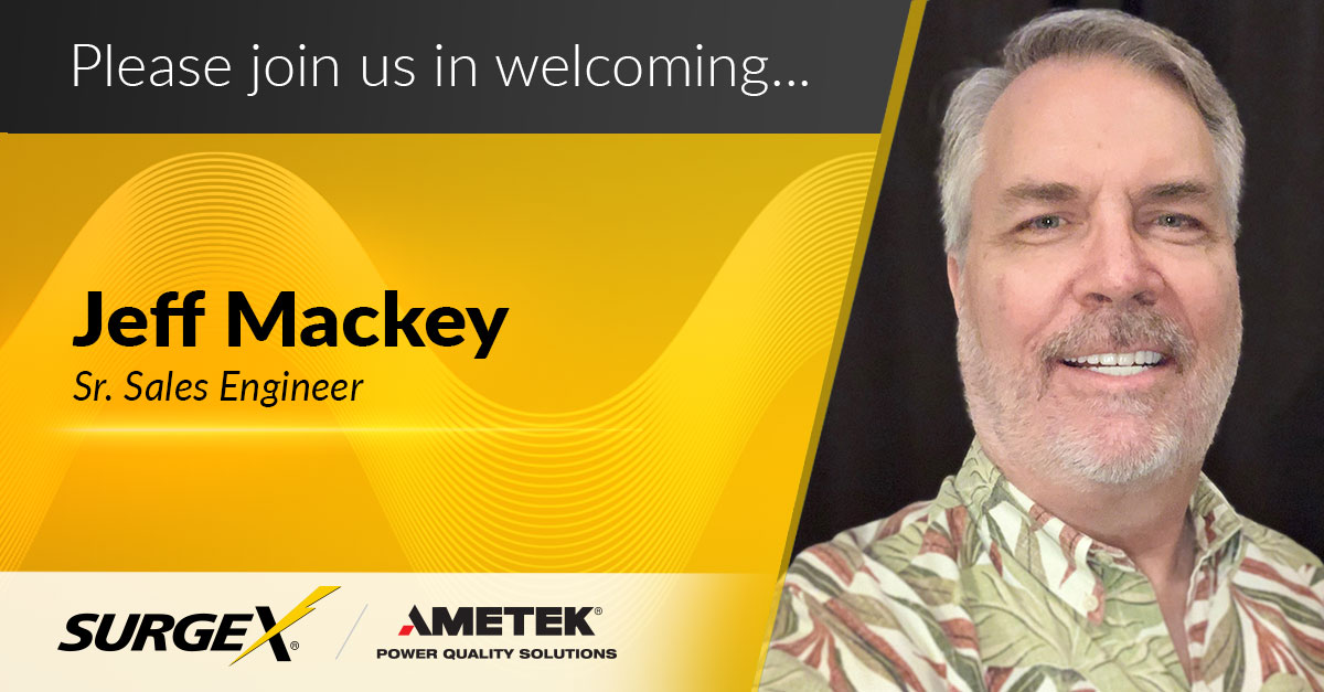 AMETEK Power Quality Solutions - The most advanced surge protectors ...